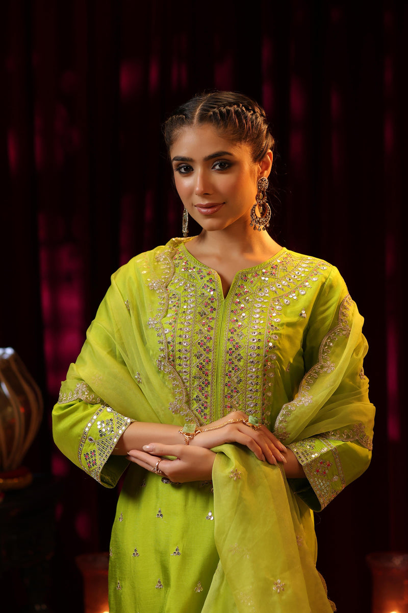 Shop Lime Green Dupion Silk Dori Embroidered Suit Set- Elegant Ethnic ...