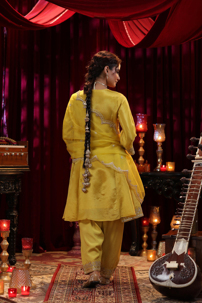 Shop Lime Green Shimmer Organza Dori Work Anarkali Set- Elegant Ethnic ...